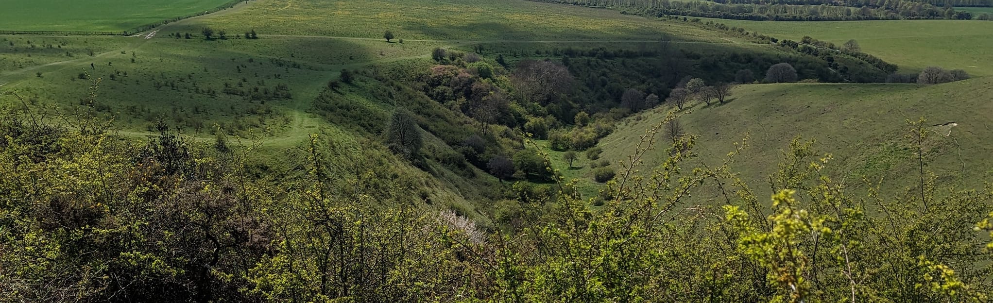 Pitstone Common and Beacon Hill Circular: 72 Reviews, Map ...