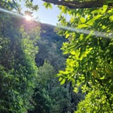 Ashley Gorge Loop and Waterfall Track, Canterbury, New Zealand - 145 ...