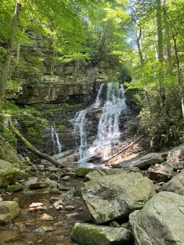 10 Best Waterfall Trails in Cherokee National Forest | AllTrails