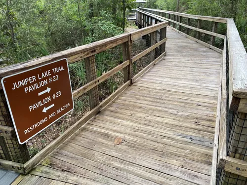 Best Lake Trails in Holt | AllTrails