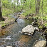 Douglas Forest Wallis Pond Loop Trail, Massachusetts - 899 Reviews, Map ...