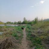 Provo River, Middle, Utah - 198 Reviews, Map | AllTrails