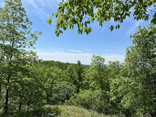 Best Hikes and Trails in Blauvelt State Park | AllTrails