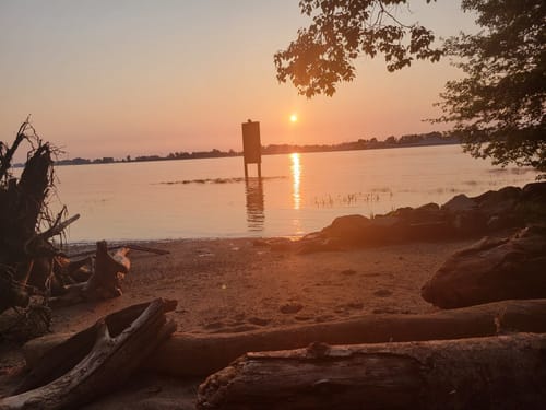 Best Hikes and Trails in Deas Island Regional Park | AllTrails