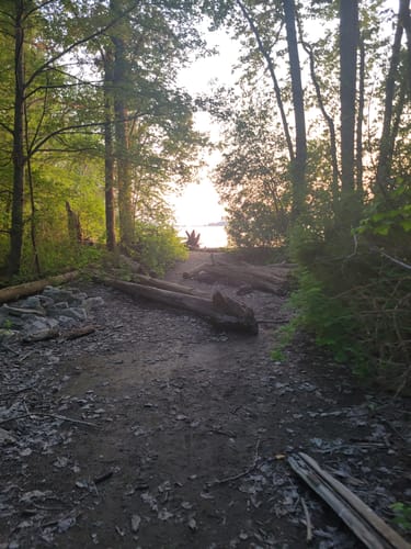 Best Hikes and Trails in Deas Island Regional Park | AllTrails