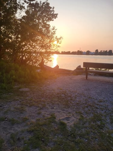 Best Hikes and Trails in Deas Island Regional Park | AllTrails