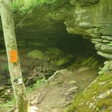 Bunkum Cave Trail, Tennessee - 247 Reviews, Map | AllTrails