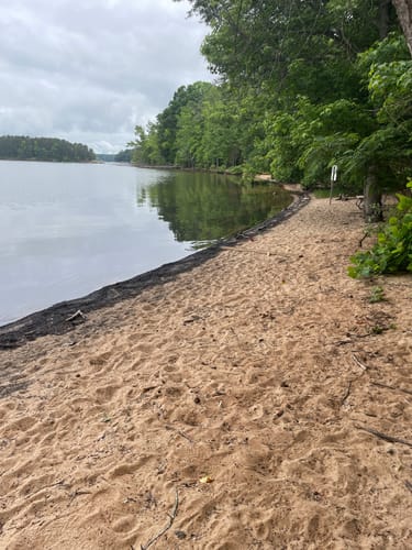 2023 Best 10 Lake Trails in Latta Nature Preserve | AllTrails