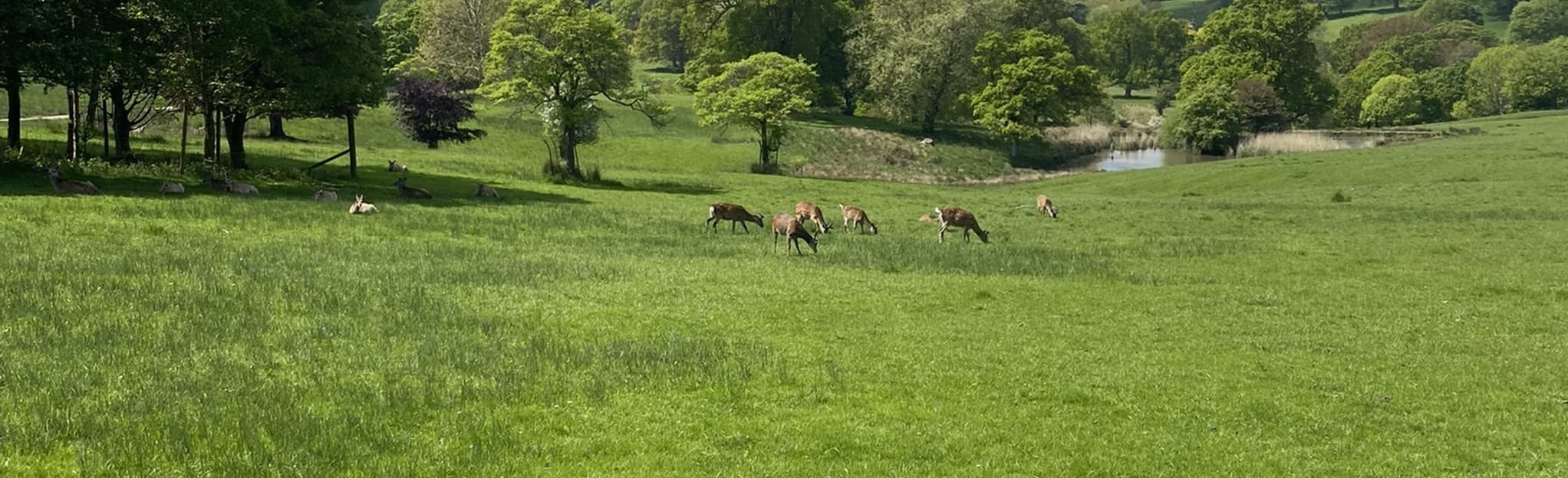 Evershot Circular: 78 Reviews, Map - Dorset, England | AllTrails