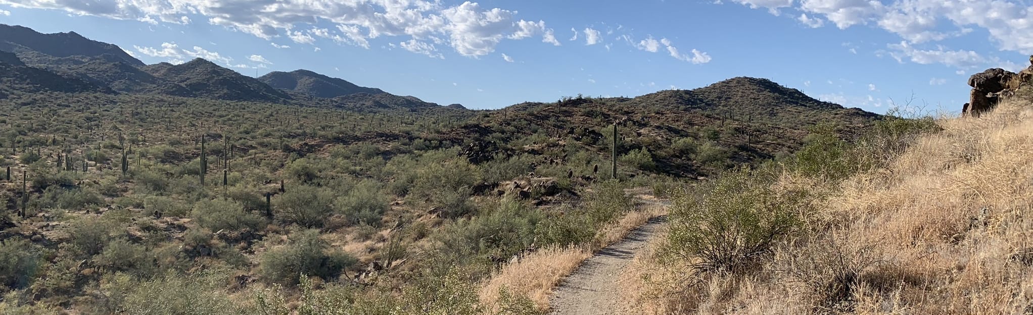 Hawes Trail Loop via Fence Line Trail: 170 Reviews, Map - Arizona ...