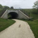 Southern New England Trunkline Trail, Massachusetts - 440 Reviews, Map ...