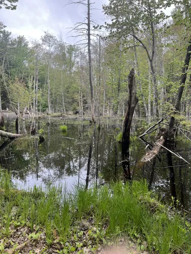 Best Hikes and Trails in Hall Environmental Reserve | AllTrails