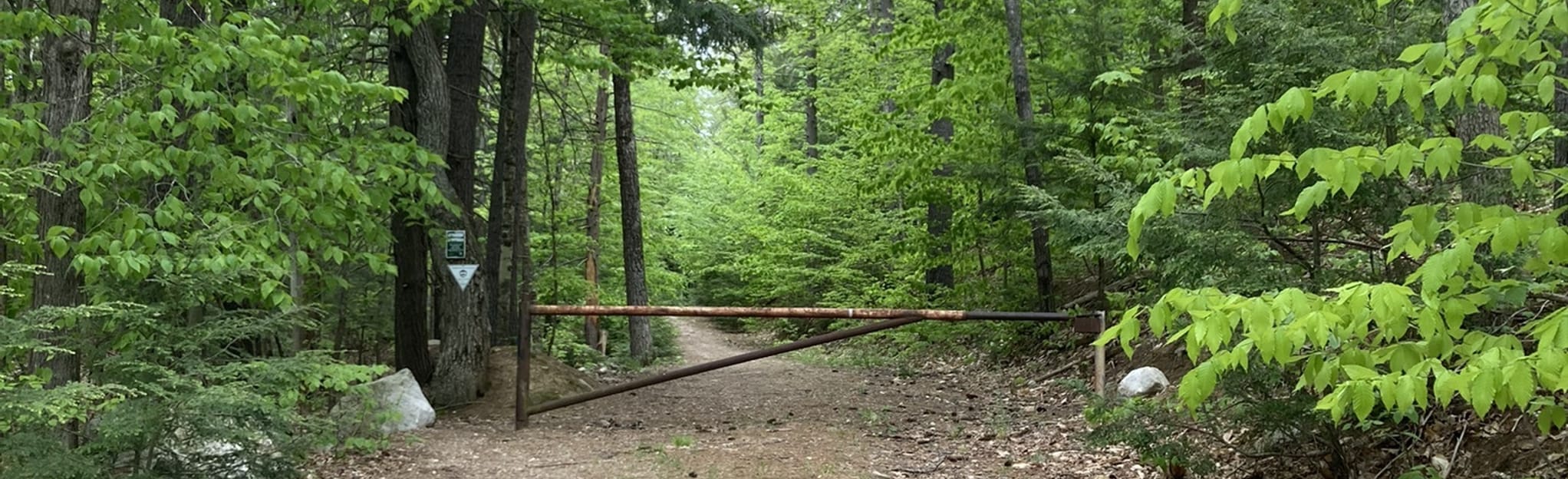 Morgan Meadows Management Road: 50 Reviews, Map - Maine | AllTrails