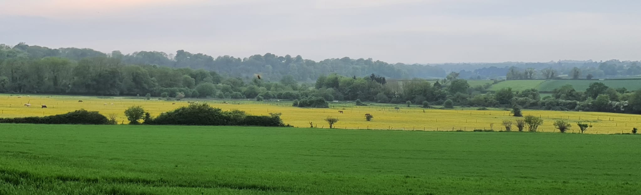 Swanmore and Dundridge Circular: 12 Reviews, Map - Hampshire, England ...