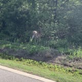 Lake Stanley Draper Trail, Oklahoma - 990 Reviews, Map | AllTrails