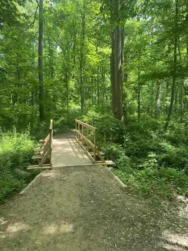 Cabin John Regional Park: Die besten Wanderungen und Routen | AllTrails