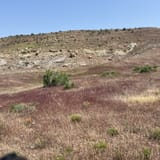 Trail Through Time, Colorado - 316 Reviews, Map | AllTrails