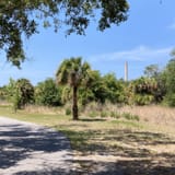 Coastal Anclote Trail, Florida - 239 Reviews, Map | AllTrails