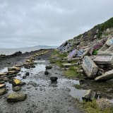 Albany Bulb, California - 393 Reviews, Map | AllTrails