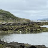 Albany Bulb, California - 393 Reviews, Map | AllTrails