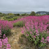 Albany Bulb, California - 393 Reviews, Map | AllTrails
