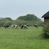 Dial Post - Shipley Circular, West Sussex, England - 181 Reviews, Map ...