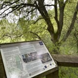 Dial Post - Shipley Circular, West Sussex, England - 181 Reviews, Map ...