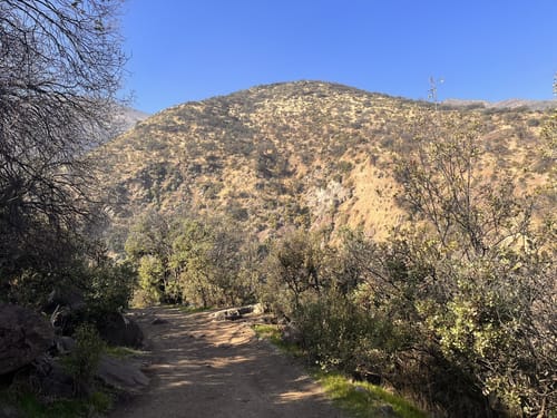 2023 Best Forest Trails in Quebrada De Macul Natural Park | AllTrails