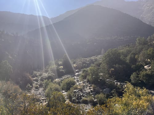 2023 Best Forest Trails in Quebrada De Macul Natural Park | AllTrails