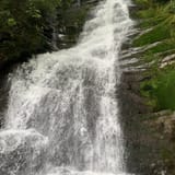 Red Fork Falls Trail, Tennessee - 249 Reviews, Map | AllTrails