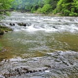 Compression Falls Trail, North Carolina - 326 Reviews, Map | AllTrails