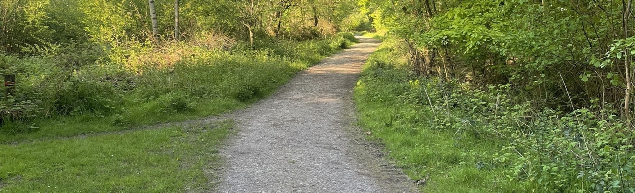 Haugh Wood, Herefordshire, England - 30 Reviews, Map | AllTrails