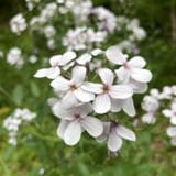 Chessie Nature Trail, Virginia - 338 Reviews, Map | AllTrails