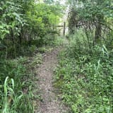 Chessie Nature Trail, Virginia - 338 Reviews, Map | AllTrails