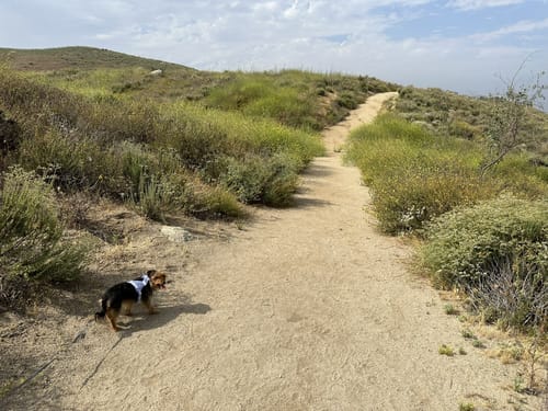 Best Hikes and Trails in Norco | AllTrails