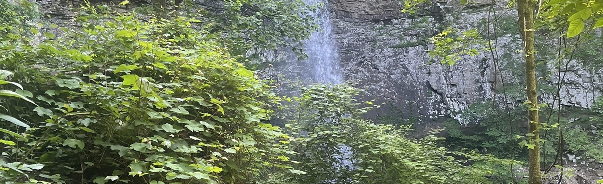 Ozone Falls Trail, Tennessee - 1,093 Reviews, Map | AllTrails