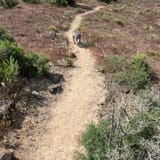 Trail Through Time, Colorado - 316 Reviews, Map | AllTrails