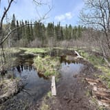 Angleworm Lake Trail, Minnesota - 108 Reviews, Map | AllTrails
