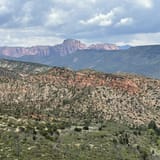 Utah Giant Sequoia Tree, Utah - 92 Reviews, Map | AllTrails