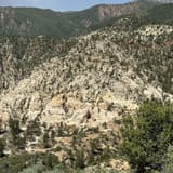 Utah Giant Sequoia Tree, Utah - 92 Reviews, Map | AllTrails