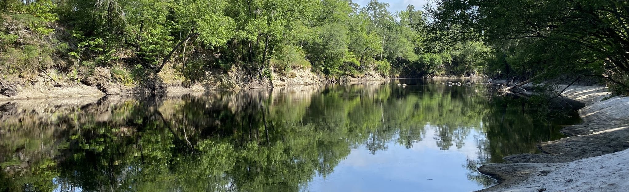 Bell Springs to Big Shoals, Florida - 59 Reviews, Map | AllTrails