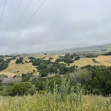 Prefumo Canyon Vista Point Trail, California - 265 Reviews, Map | AllTrails