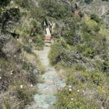 Prefumo Canyon Vista Point Trail, California - 265 Reviews, Map | AllTrails