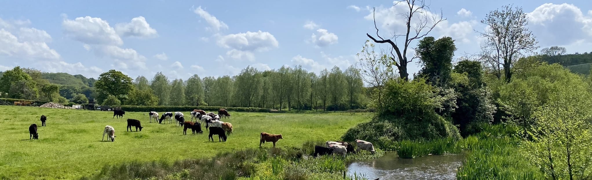 Chess Valley Walk, Latimer and Chenies Circular: 521 foto's ...