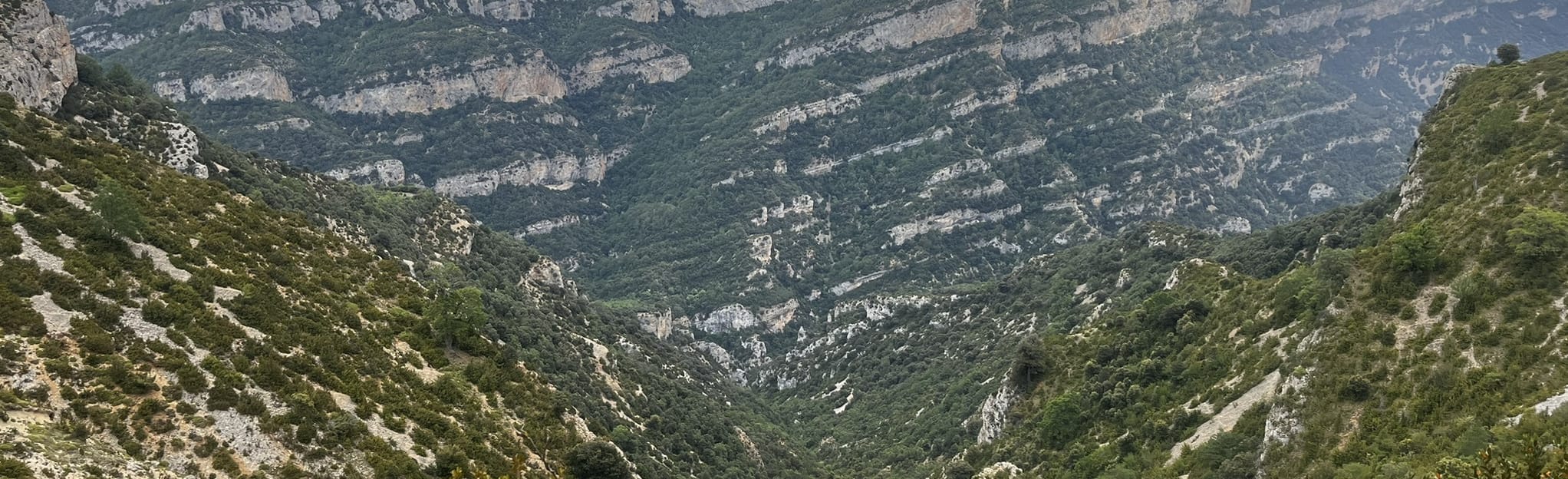 Rodellar - Peña de San Martín o Alconata: 2 Reviews, Map - Huesca ...