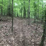 Yellow River Park Loop, Georgia - 753 Reviews, Map | AllTrails