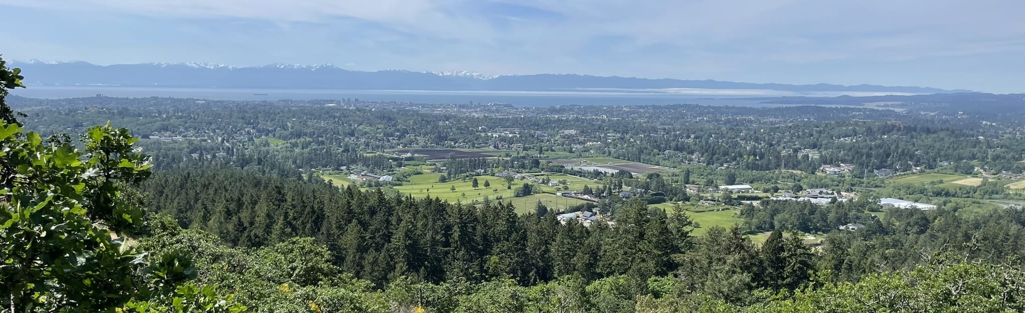 PKOLS (Mount Douglas) via Norn-Irvine Trail, British Columbia, Canada ...