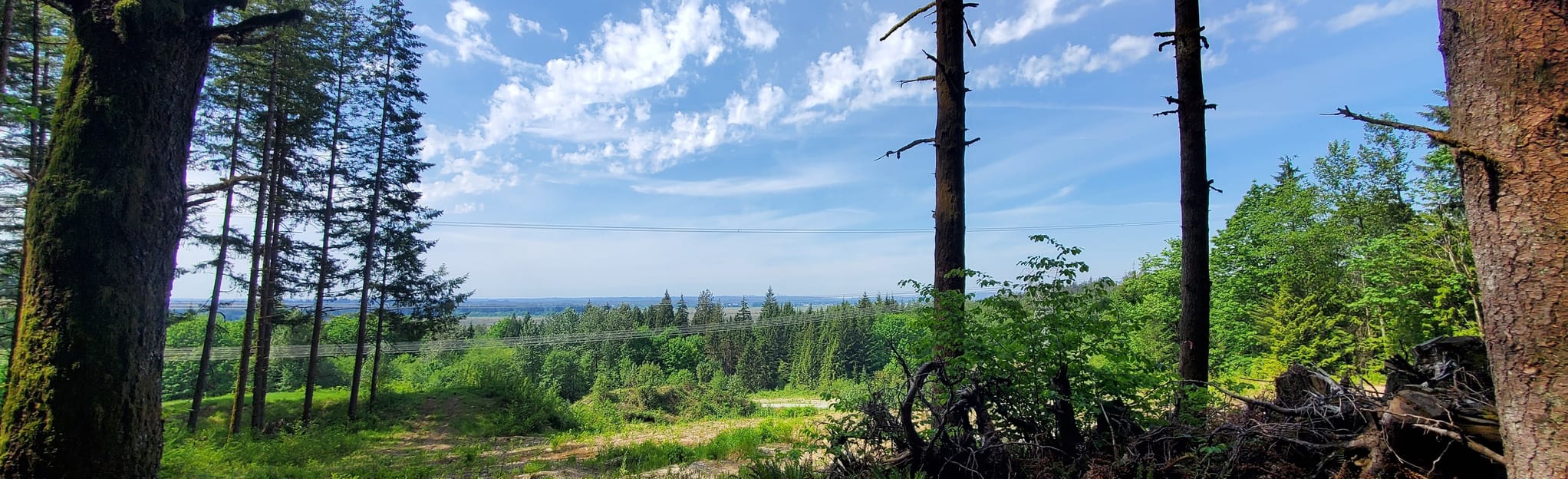 UBC Malcolm Knapp Red Trail, A10, Blue Trail, and C Loop, British ...
