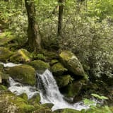 Snake Den Ridge Trail, Tennessee - 83 Reviews, Map | AllTrails