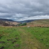 Longdendale Trail Circular, Derbyshire, England - 167 Reviews, Map ...